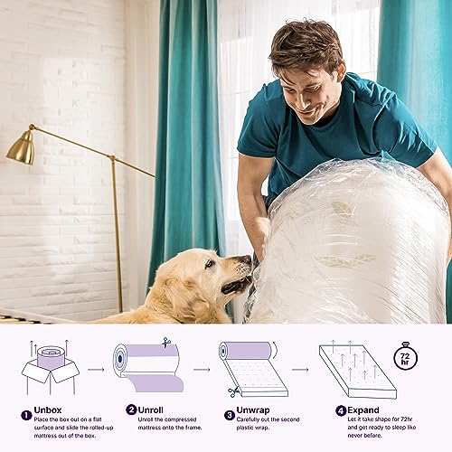 NapQueen Anula, Twin 10'' Green Tea Memory Foam Mattress, Bed in a Box