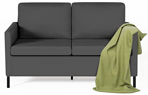 TYBOATLE 51 inch Fabric Modern Loveseat Sofa Couch for Living Room, Upholstered Love Seats 2-Seater w/Iron Legs for Compact Small Space, Apartment, Bedroom, Dorm, Office (Dark Grey)