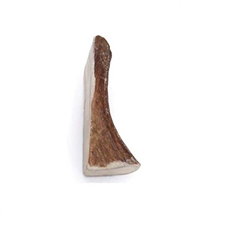 Ranch Rewards ELK Antler Dog Dental Chews Natural Way to Clean Your Dog's Teeth Bulk Too!(Small - 4" to 5" 3 Antlers)