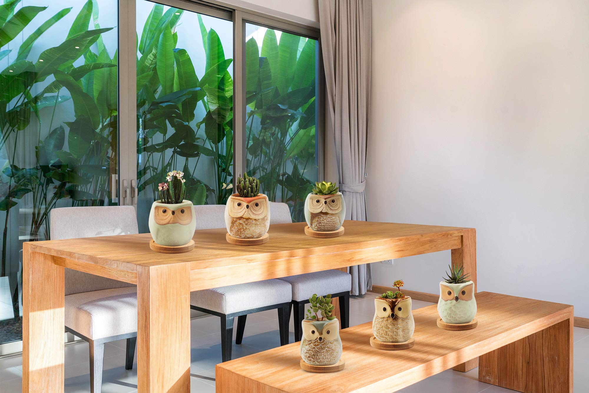 FairyLavie Succulent Pots, 2.5" Owl Planter Owl Pot, Small Pots for Plants Cute Small Planter with Accessories, Great for Home Decor and Ideal Gift, Set of 6