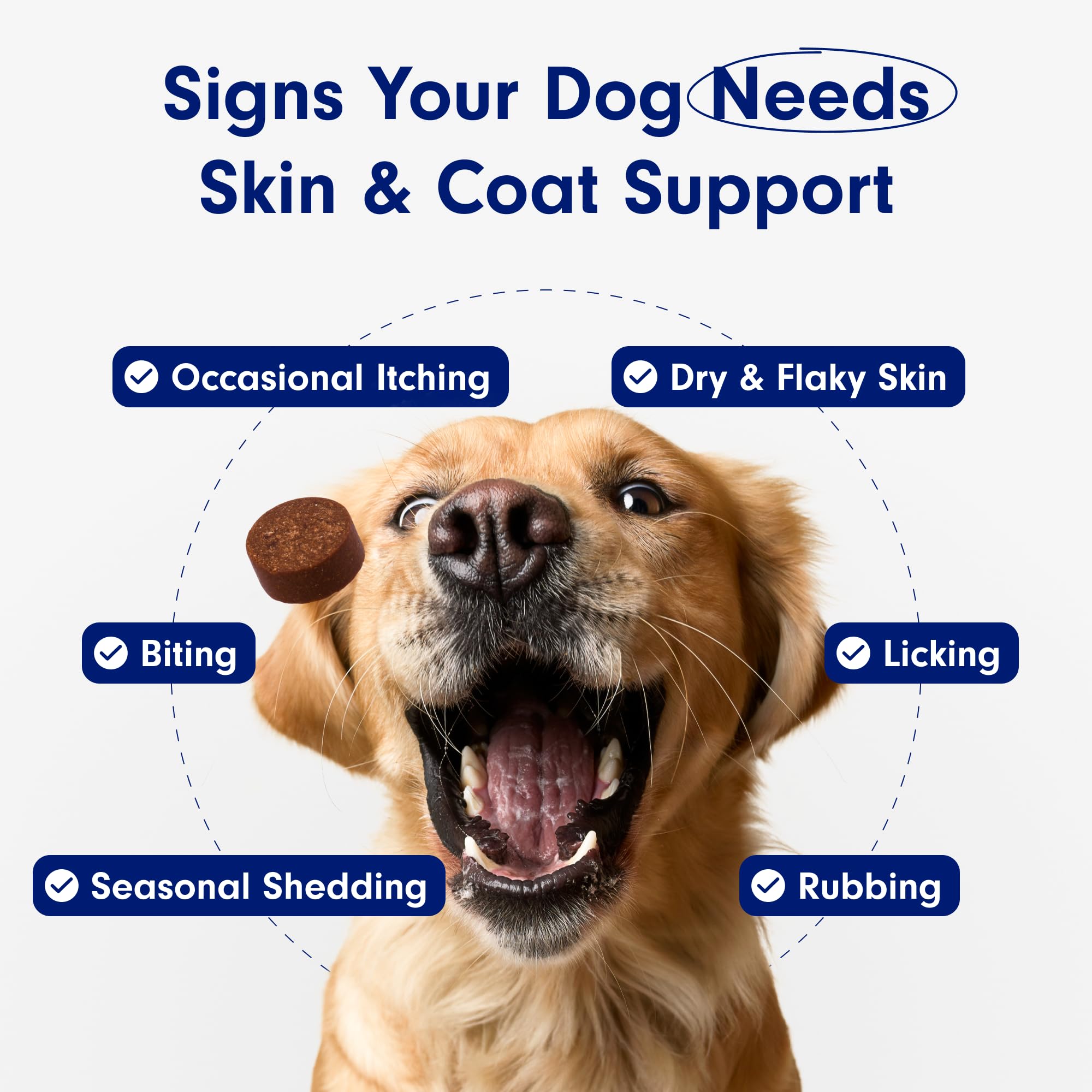 PetLab Co. Itch Relief Salmon Chews β Delicious Salmon Flavor - Support for Dry, Occasionally Itchy Skin & Coats β Expertly Formulated