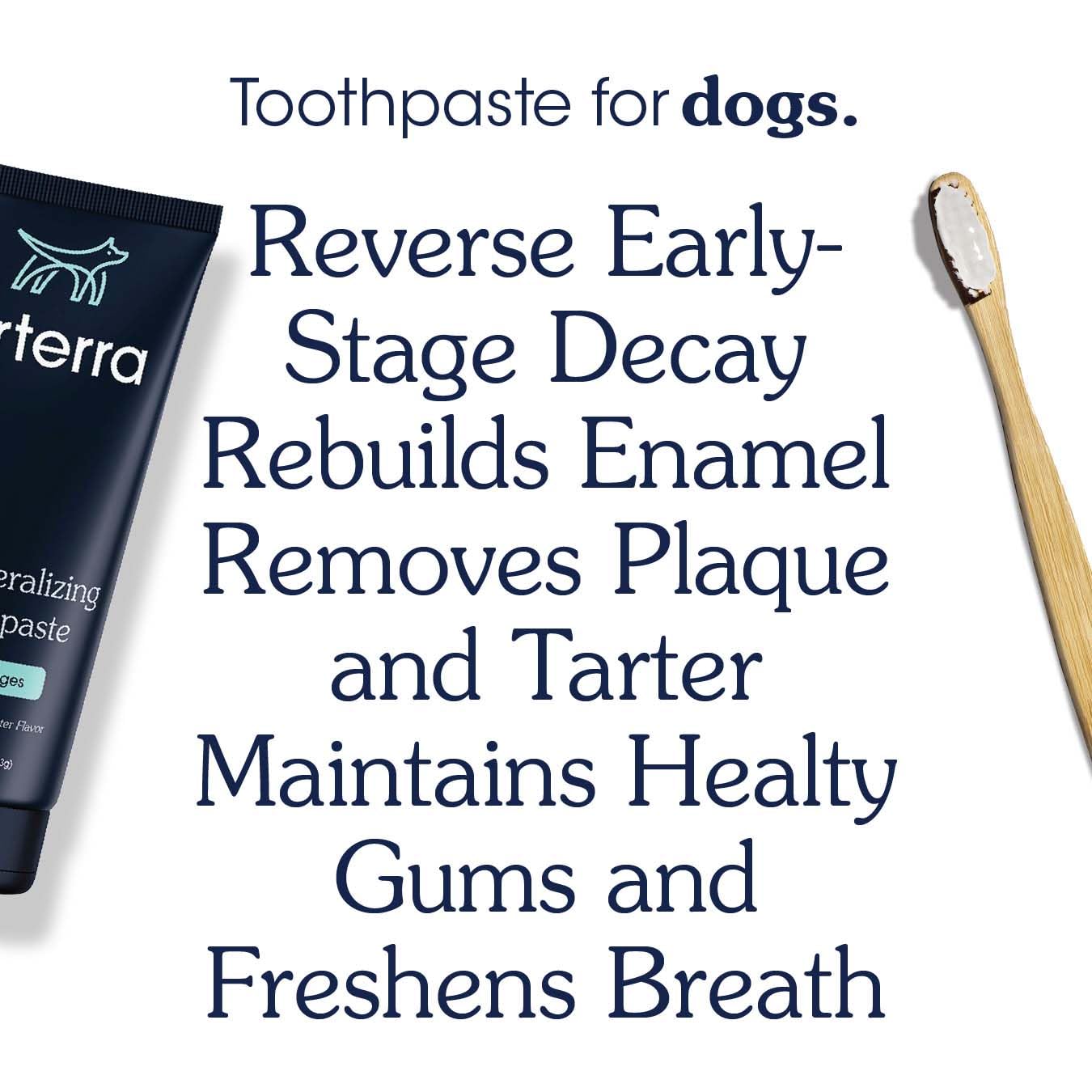 Remineralizing Dog Toothpaste β Vet-Grade, with Nano-Hydroxyapatite, Reverses Early-Stage Decay, Cleans Teeth, Reduces Tartar, Freshens Breath by Arterra Pet Science, Plant-Based, Natural Flavor, 4oz