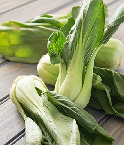Gaea's Blessing Seeds - Bok Choy Seeds (2.0g) Canton Pak Choi Chinese Cabbage Non-GMO Seeds with Easy to Follow Planting Instructions - Heirloom 90% Germination Rate
