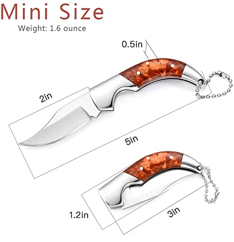 EZKIT Small Pocket Knife, Crescent-Shape EDC Knife with Stainless Steel and Wood Handle, Small Folding Knife, Blade Length 1.5in.
