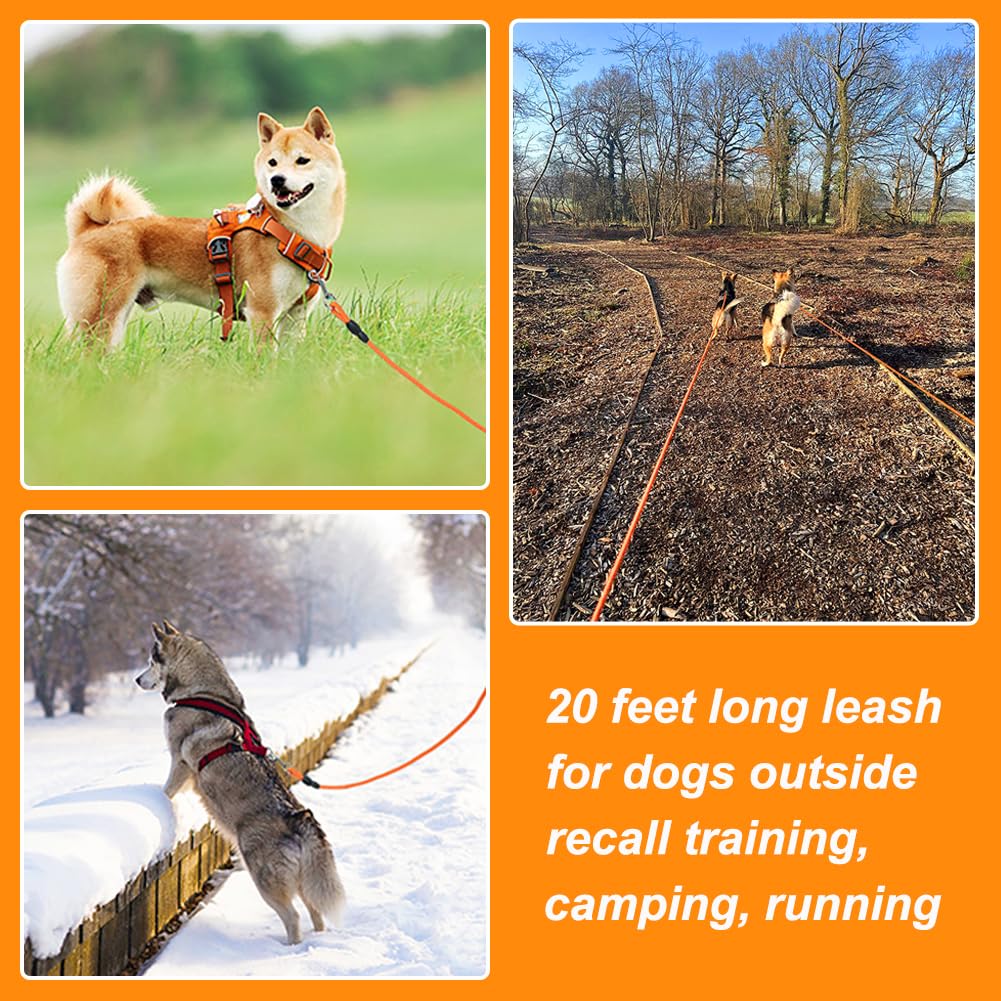 Vivifying Long Dog Leash, 32ft Floating Dog Training Leash, Check Cord Rope Leash with Comfortable Handle for Outside, Hiking, Swimming, Beach and Lake (Orange)