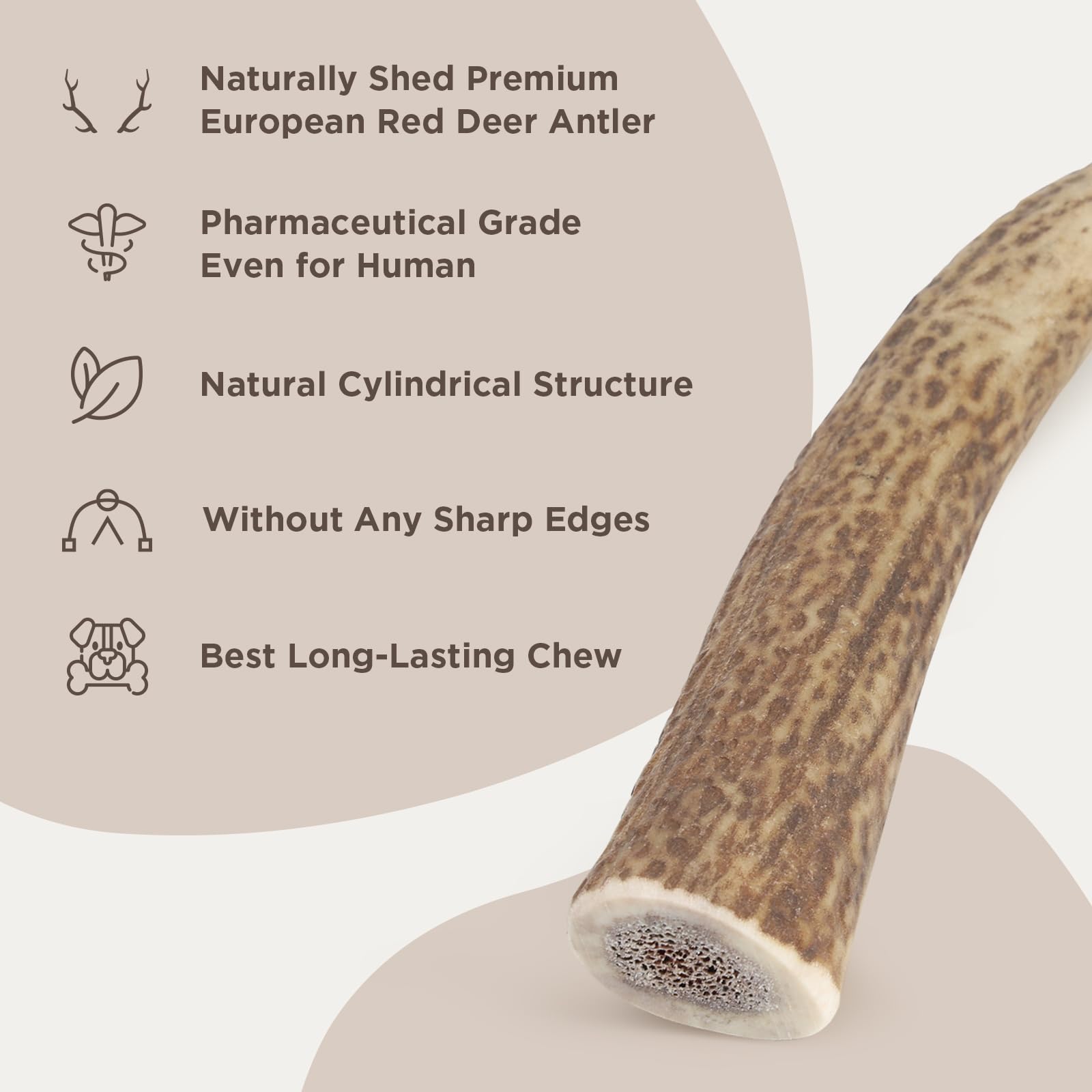 Premium Deer Antlers for Dogs β Natural Dental Chew for Aggressive Chewers β Long-Lasting Antler Chews, Odor-Free, Mess-Free, 1 Count (Medium)