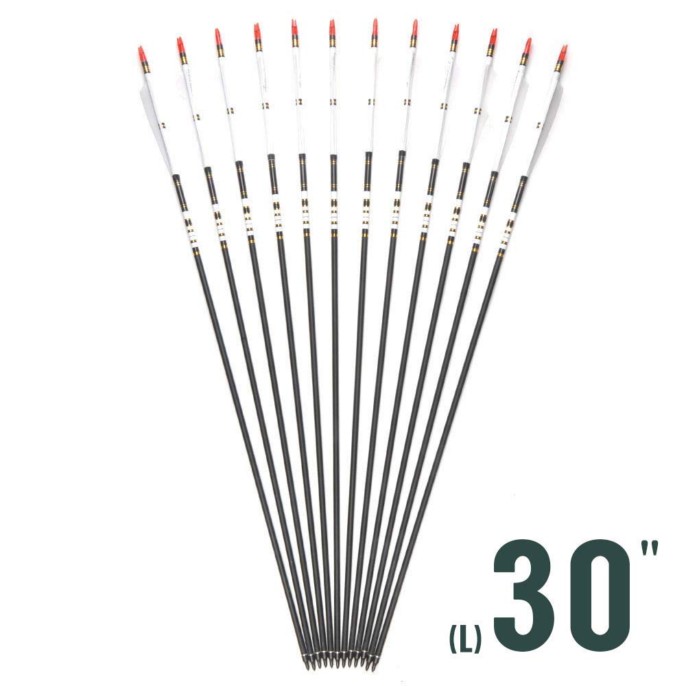 EROCK Archery Arrows 30inch Pure Carbon Arrows 500 Spine Turkey Feather Fletching Screw-in Field Points Targeting Arrows for Recurve Bow Compound Bow 12 Pack