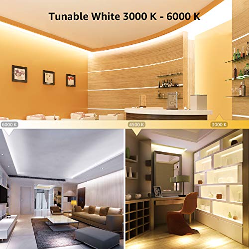 Lepro LED Strip Light, 3000K-6000K Tunable White, 16.4ft Dimmable Bright LED Tape Lights, 300 LEDs 2835, Strong 3M Adhesive, Suitable for Home, Kitchen, Under Cabinet, Bedroom
