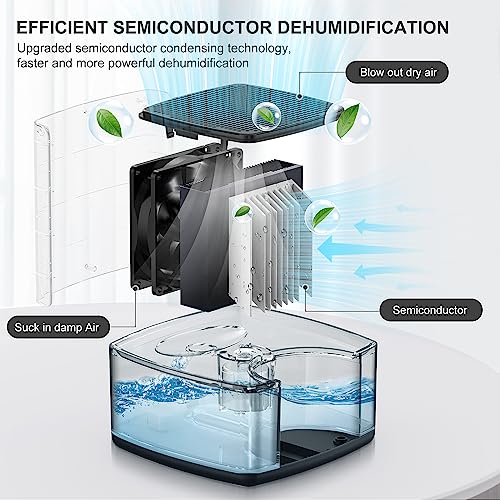 ToLife Dehumidifiers for Home 30 OZ Water Tank with Auto-Off, Portable Small Dehumidifier for Room,Bathroom,Bedroom,RV, Closet 500 sq.ft,7 Colors LED Light