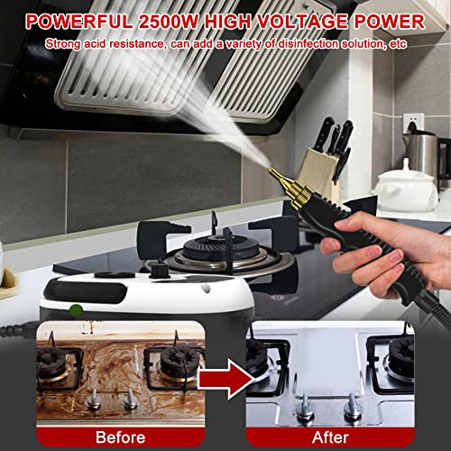 Pressure Steam Cleaner, 2500W Handheld High Temp Portable Steamer Cleaning Machine with 3 Brush Heads, for Home Use Grout Tile Car Detailing Kitchen Bathroom