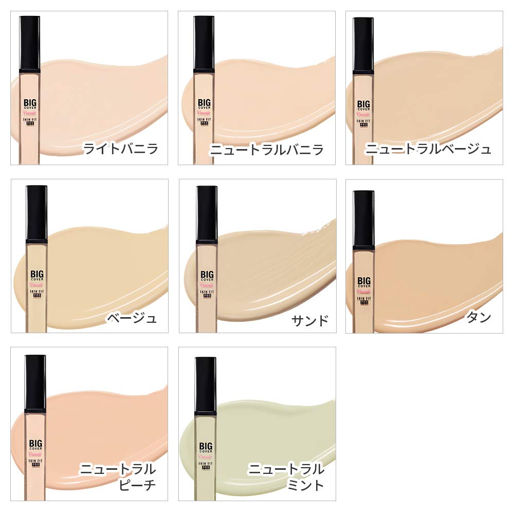 Etude House Big Cover Skin Fit Concealer PRO (# Neutral Mint)