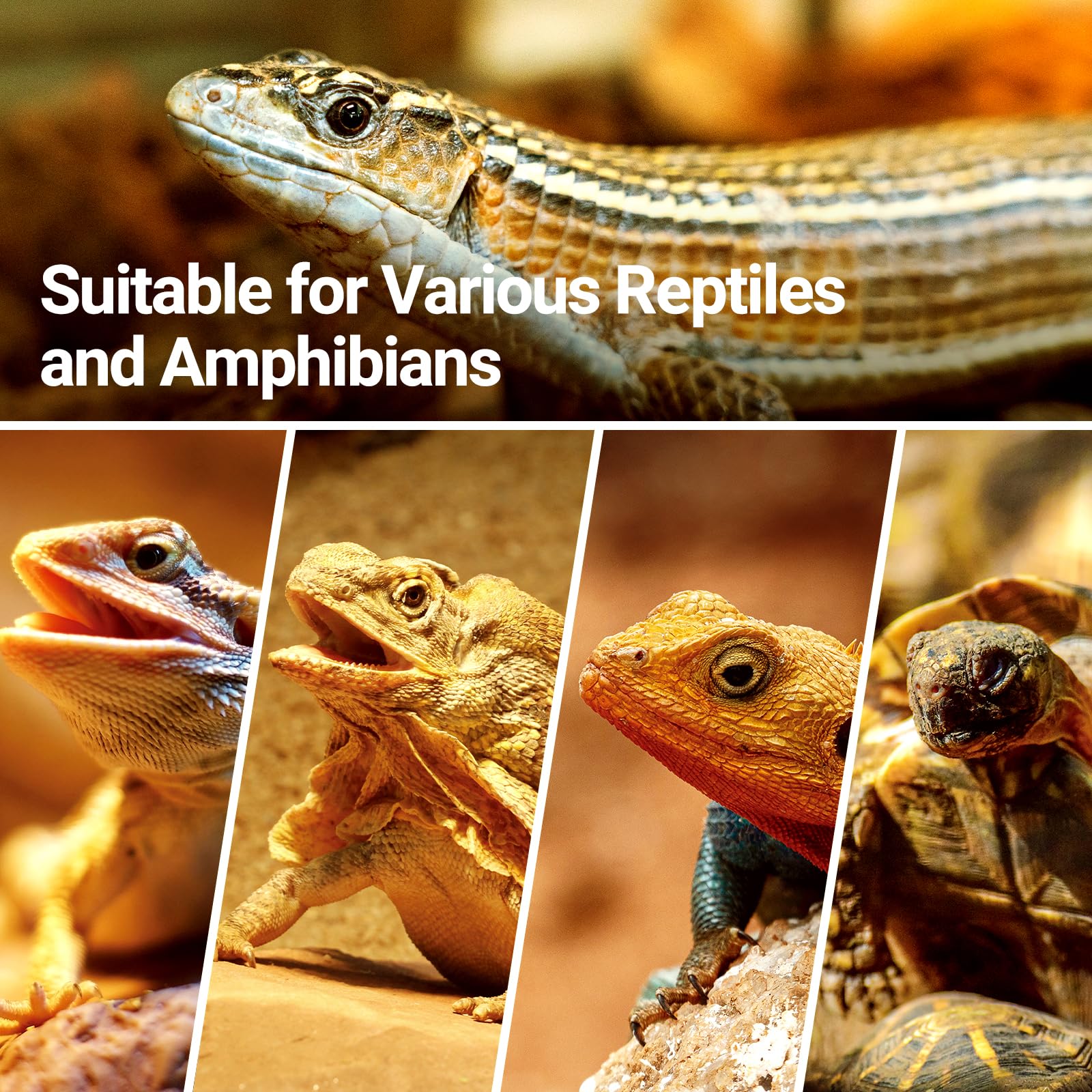 REPTI ZOO 50W Reptile Heat Lamp Bulb,2 Pack Intense Spot Basking Light,UVA Daylight Heating Lamp Bulb for Reptile & Amphibians & Chicken Brooder,Bearded Dragon, Lizard, Tortoise