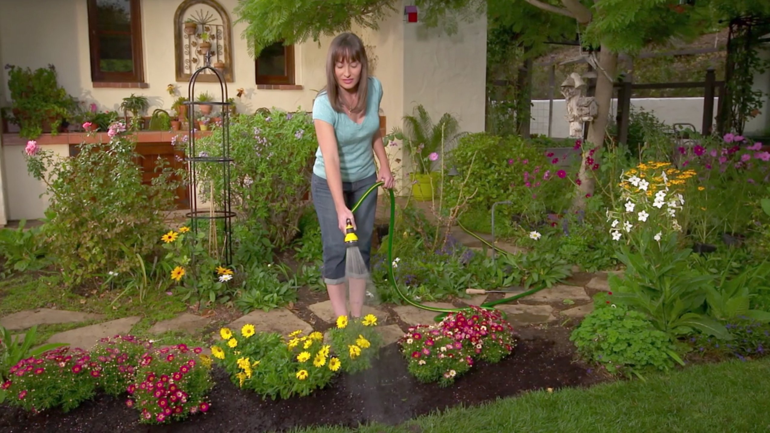 Miracle-Gro Shake 'n Feed Continuous Release Plant Food with Calcium for Tomatoes, Fruits, and Vegetables, 4.5-Pound (Slow Release Plant Fertilizer)