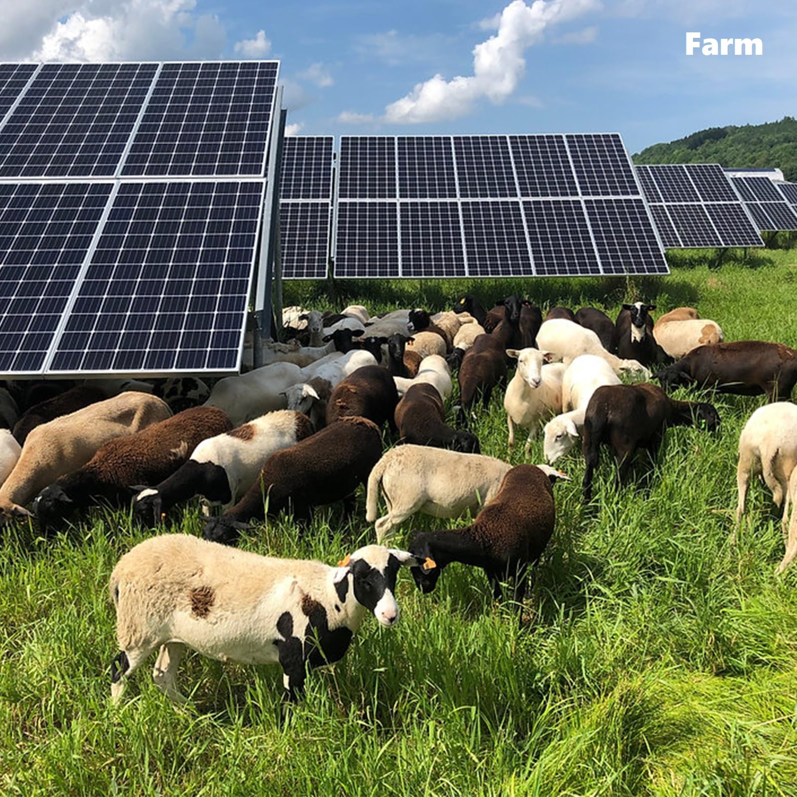 Futuresolar Bifacial 36pcs 545 Watt Monocrystalline Solar Panel System Suitable for Roofs, Parking Lots, Fields, Farms, Commercial Homes, UL Certified…