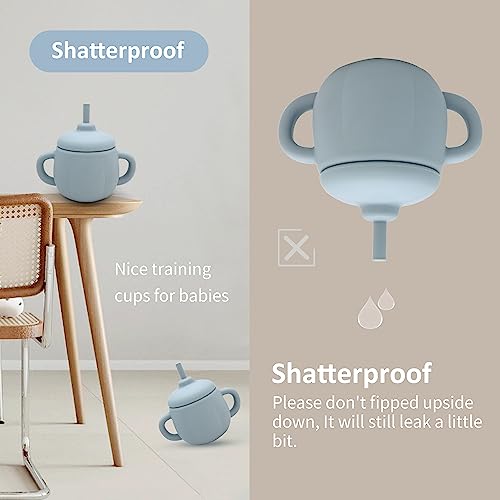 Santi & Me 2-1 Silicone Straw Cup for Baby, Spill-proof Sippy Cup for Babies 6-12-18 Month, Open Training Water Cups with Easy-Hold Handle, Baby Led Weaning Cups - BPA Free - 8.8oz (Dusty blue)
