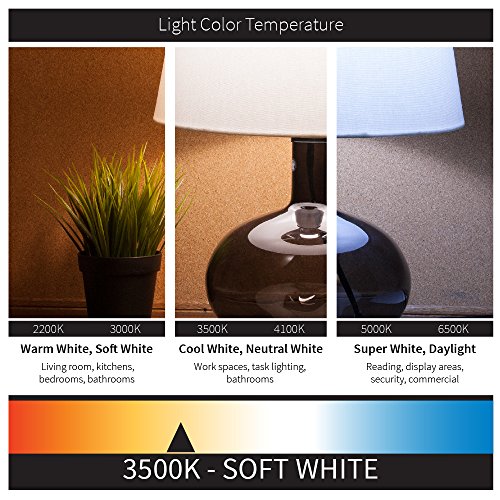 Sunlite FC40T5/SP835 Fluorescent 40W T5 Circline Ceiling Lights, 3500K Neutral White Light, 2GX13 (40 watts)