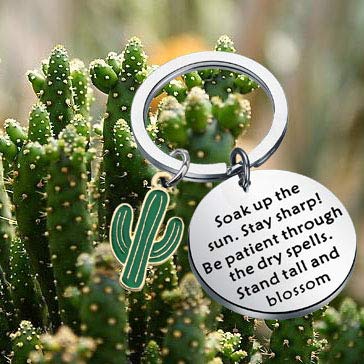 FEELMEM Saguaro Cactus Keychain Soak Up The Sun Stand Tall and Blossom Inspirational Cacti Charms Keychain for Friend Plant Lover Gift (silver)