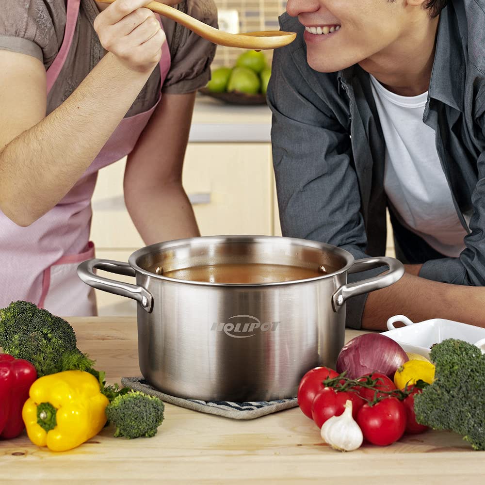 HOLIPOT Stock Pot, 3.5 Quart Tri-Ply Stainless Steel Pot with Double Handle, Soup Cooking Pot with Lid and Mini Silicone Oven Mitts, Induction Compatible, Dishwasher Safe