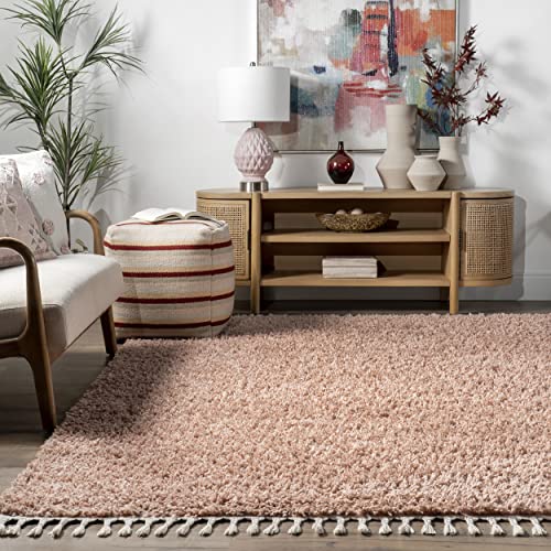 nuLOOM Neva Modern Tasseled Shag Area Rug, 5' 3" x 7' 7", Pink