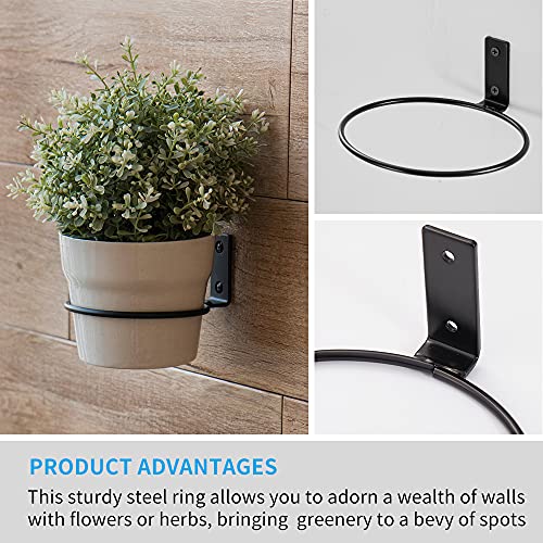 Plant Holder Ring 6 Inch Wall Mounted, 6 Pack Flower Pot Hangers Metal Plant Stand Hanging Bracket Basket Hooks