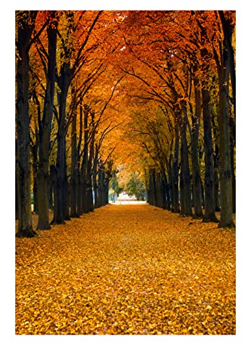 Funnytree 5x7ft Maple Leaves Photography Backdrop Autumn Fallen Yellow Tunnel Scenery Natural Season Background Fall Tree Street Road Photo Studio Props Photobooth Poster Photoshoot