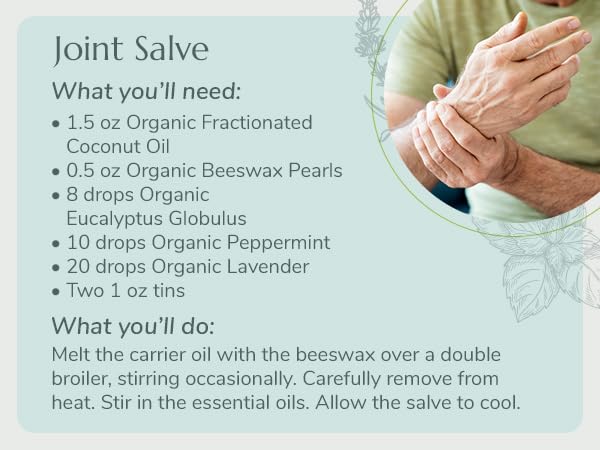Plant Therapy Top 6 USDA Organic Essential Oil Set - Lavender, Peppermint, Eucalyptus, Lemon, Tea Tree 100% Pure, Natural Aromatherapy, for Diffusion & Topical Use, Therapeutic Grade 10 mL (1/3 oz)