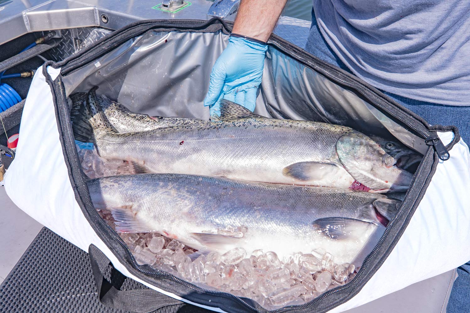 Fish Fighter 48 Inch Insulated Fish Bag, Kill Bag, Fishing Cooler, Easy to Clean & Take With You On The Boat or Shore