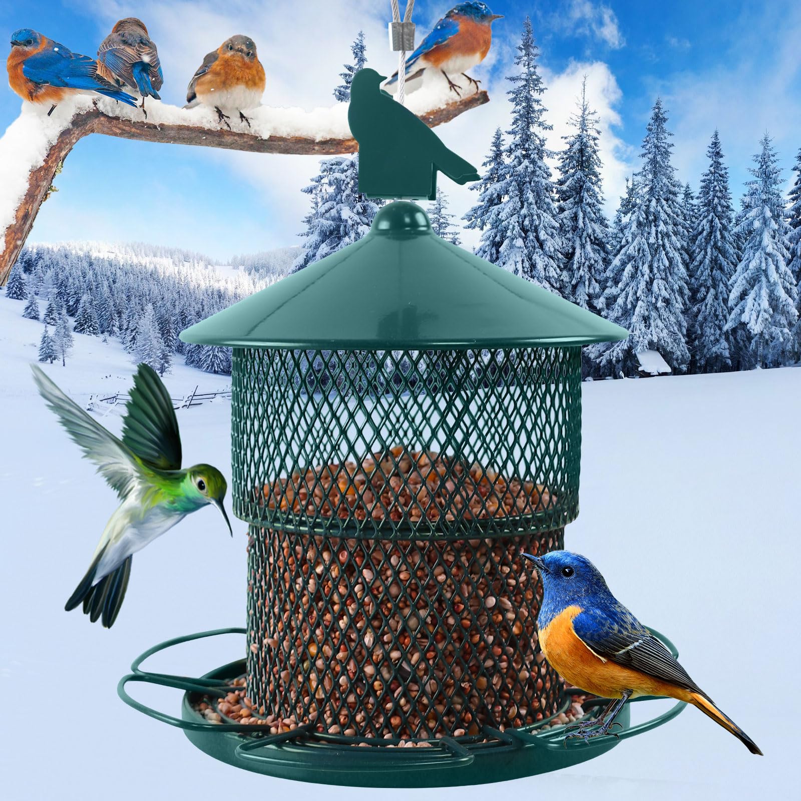 Metal Bird Feeders for Outside Hanging,Squirrel Proof Wild Bird Feeders for Cardinal, Heavy Duty with 4lbs Large Seed Capacity,6 Perches for Garden Yard Outdoors