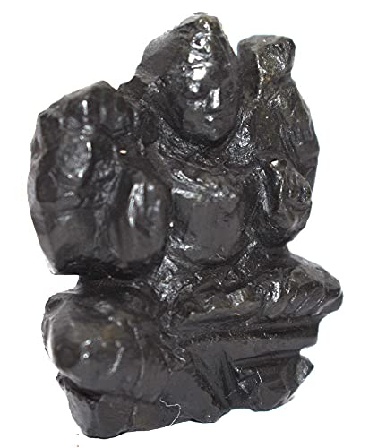Rudrakshguru Goddess Lakshmi Idol Carved on Natural Sudarshan Shaligram