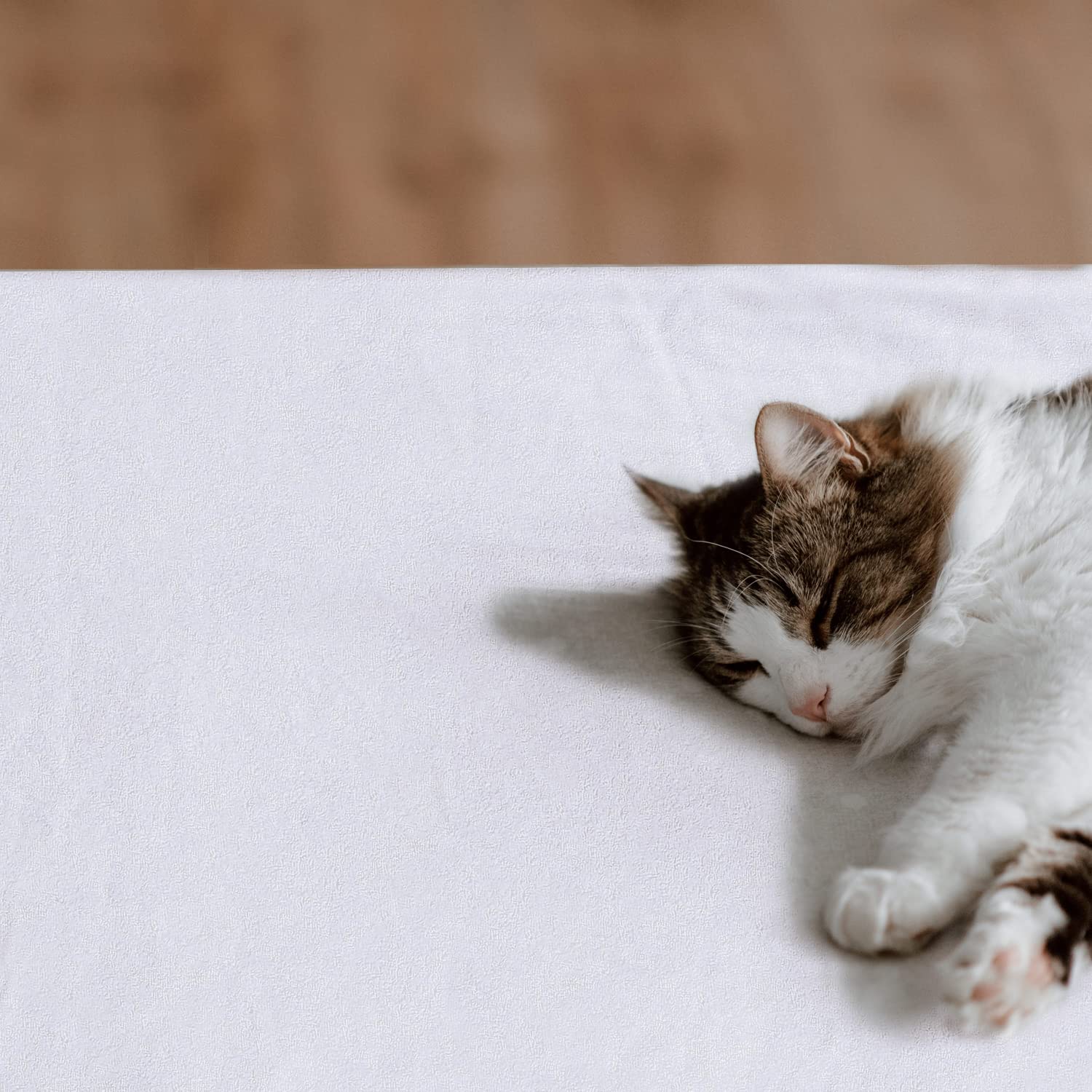 Mattress Protector (Crib)