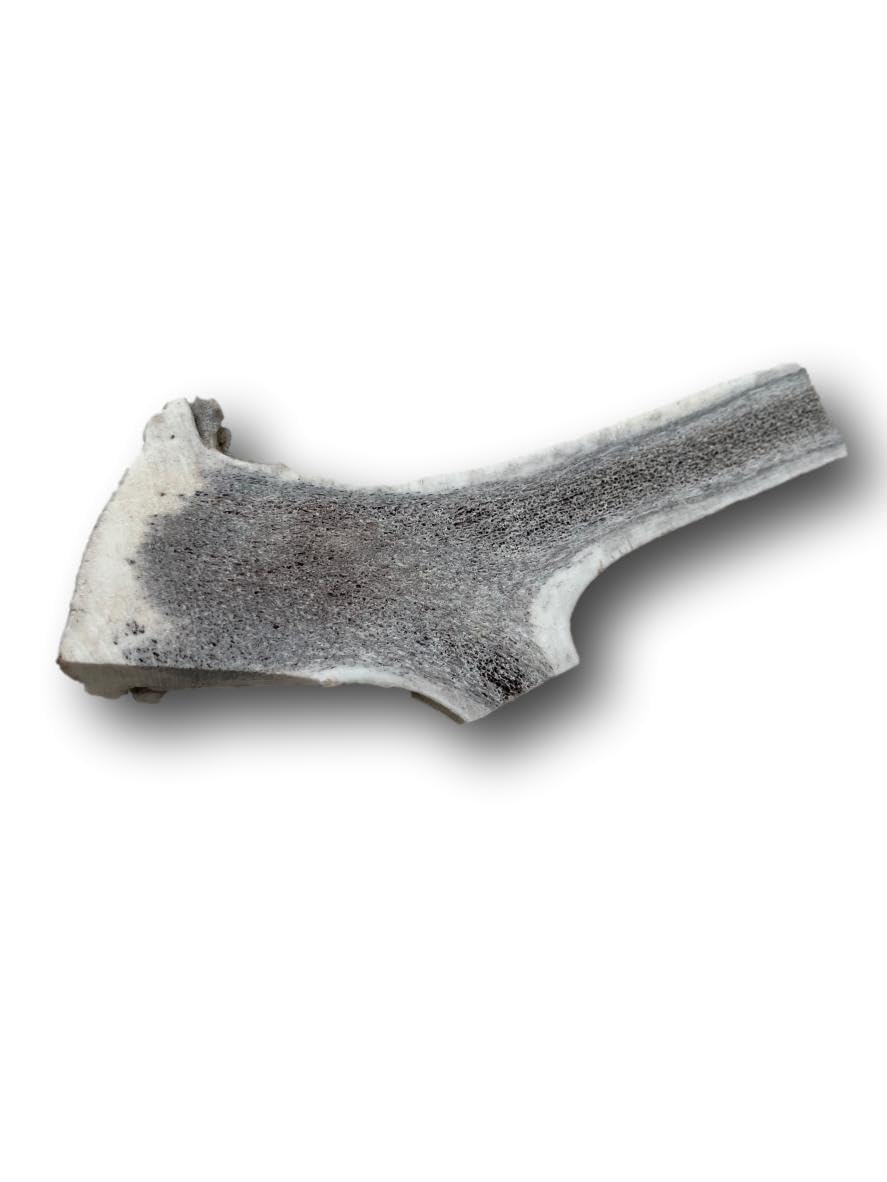 Top Dog Chews - Huge Split Elk Antler (Ideal for Dogs Over 40lbs) - (8-10 Inches) - All Natural and Long Lasting Dog Chew for Aggressive Chewers - 1 Count
