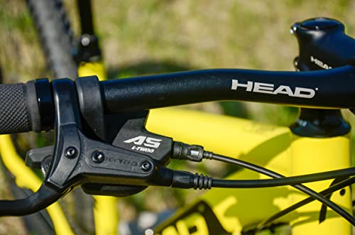 Head Berm 29er Mountain Bike in 3 Sizes