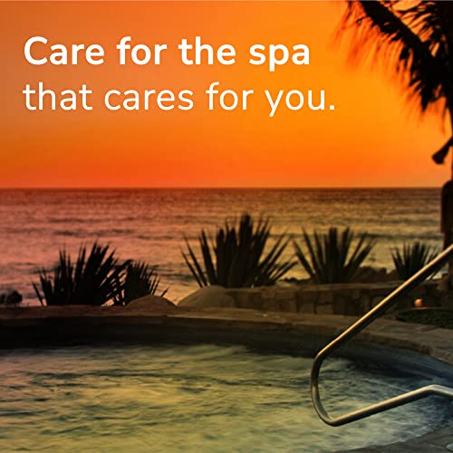 Leisure Time 45300 Reserve Sanitizer for Spas and Hot Tubs, 1-Pack