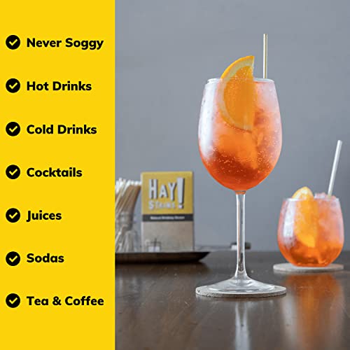 HAY! Straws | 3000ct. Bulk Straws | 5" | 100% Compostable, 100% Plant-Based, Never Soggy, Gluten-Free | Sustainable Alternative to Plastic & Bioplastic Straws