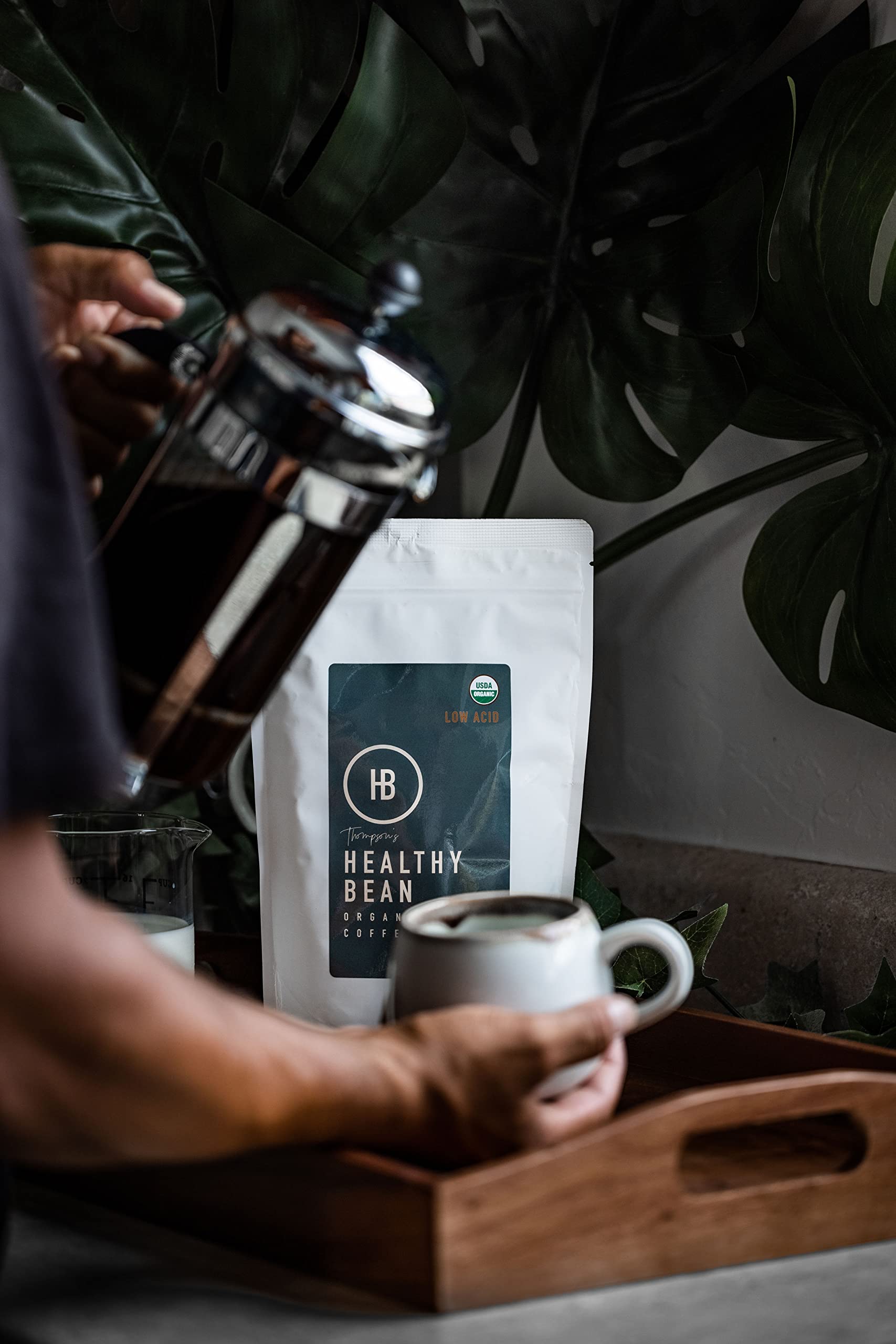 Healthy Bean Coffee Thrive Morning Roast - Low Acid Coffee | Ground, Organic | - 11oz.