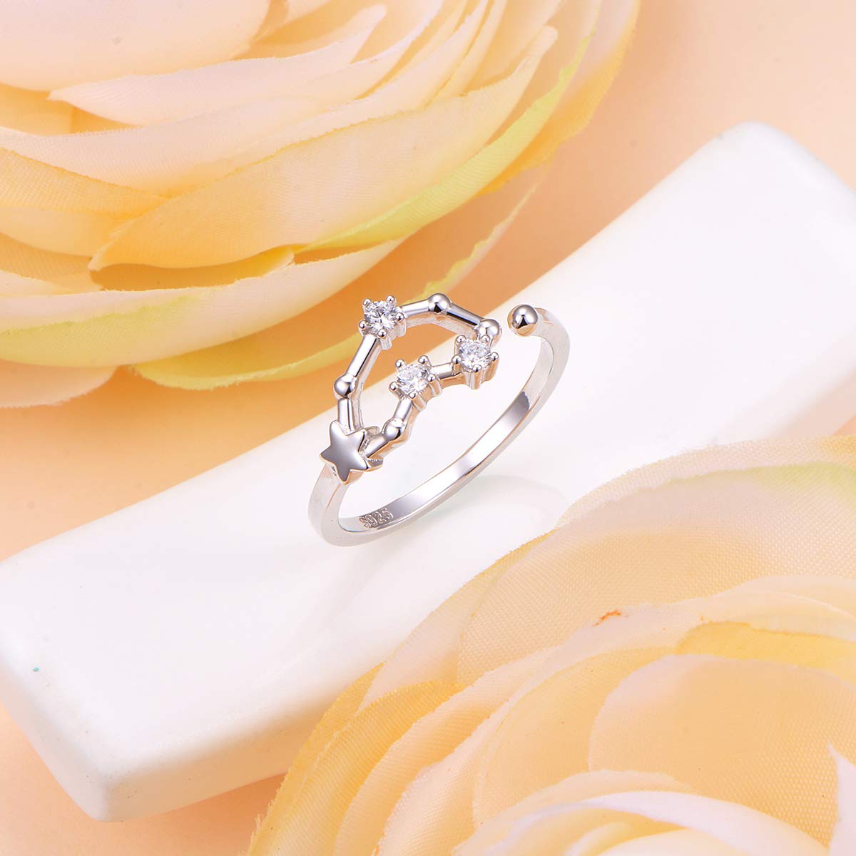 FLYOW 925 Sterling Silver CZ Constellation Astrology Star Zodiac Adjustable Open Capricorn Ring Birthday Gift for Women Girls Daughter, Size 7
