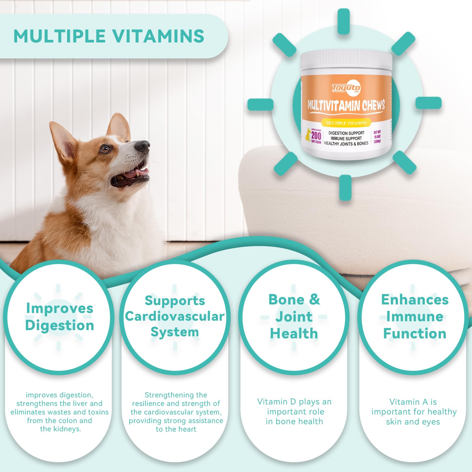 Omega-3 Multivitamin Skin and Coat Supplement for Dogs Omega 3 Fish Oil Supplement, Supports Shedding, Skin & Coat, Immunity, EPA,DHA (Heart,Bone, Multivitamin)
