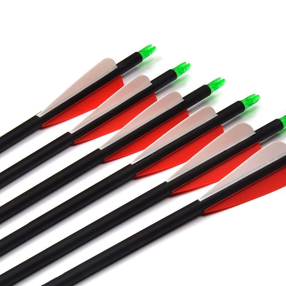 EROCK 32inch Carbon Archery Arrows, Spine 500 with Removable Tips, Hunting and Target Practice Arrows for Compound Bow and Recurve Bow, Pack of 12