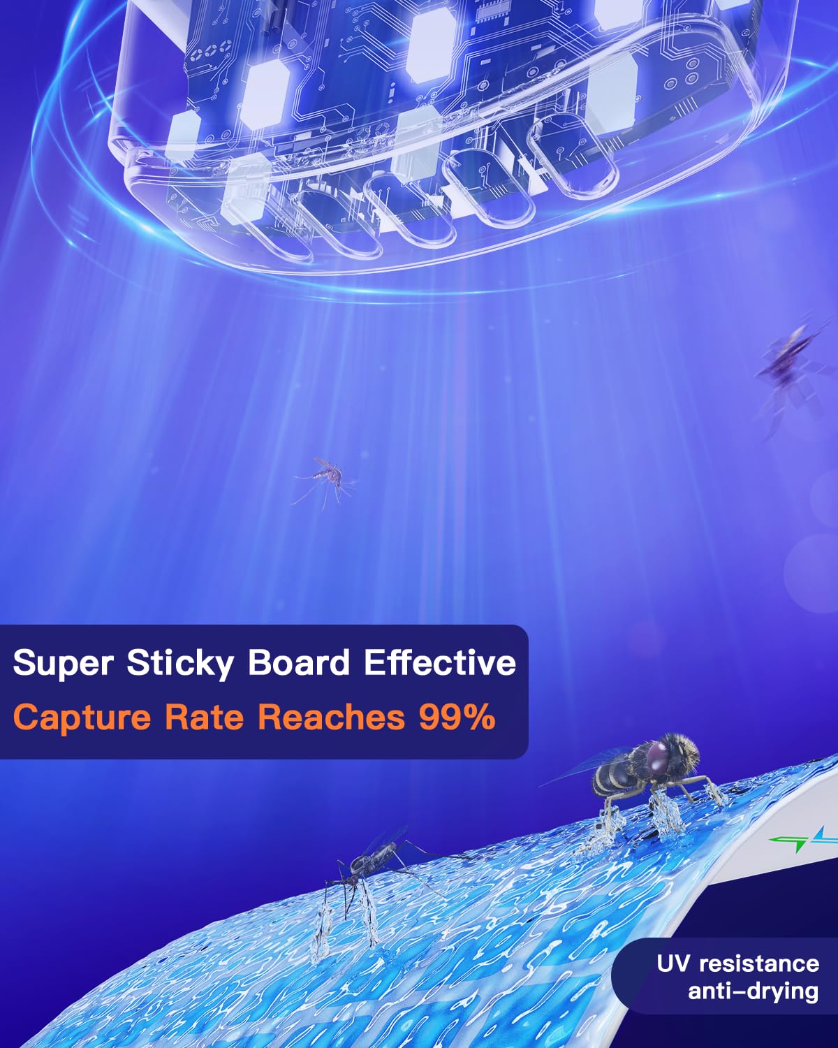 Indoor Fly Trap, Plug-in Bug Light Catcher with UV and Blue Light - Fruit Fly Traps for Indoors, Gnats, Mosquitoes, Flies, Moths,House Flies - Fly Traps Indoor for Home-2 Devices + 10 Refills