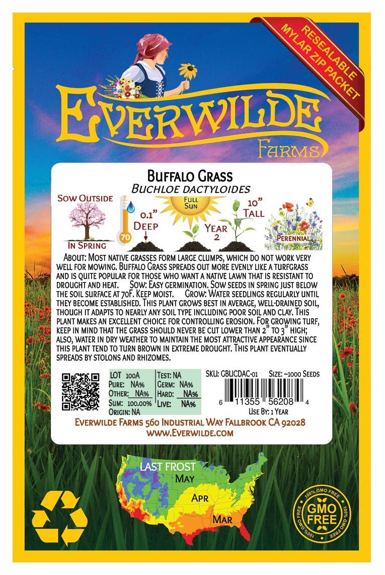 Everwilde Farms - 100 Buffalo Grass Native Grass Seeds - Gold Vault Jumbo Seed Packet