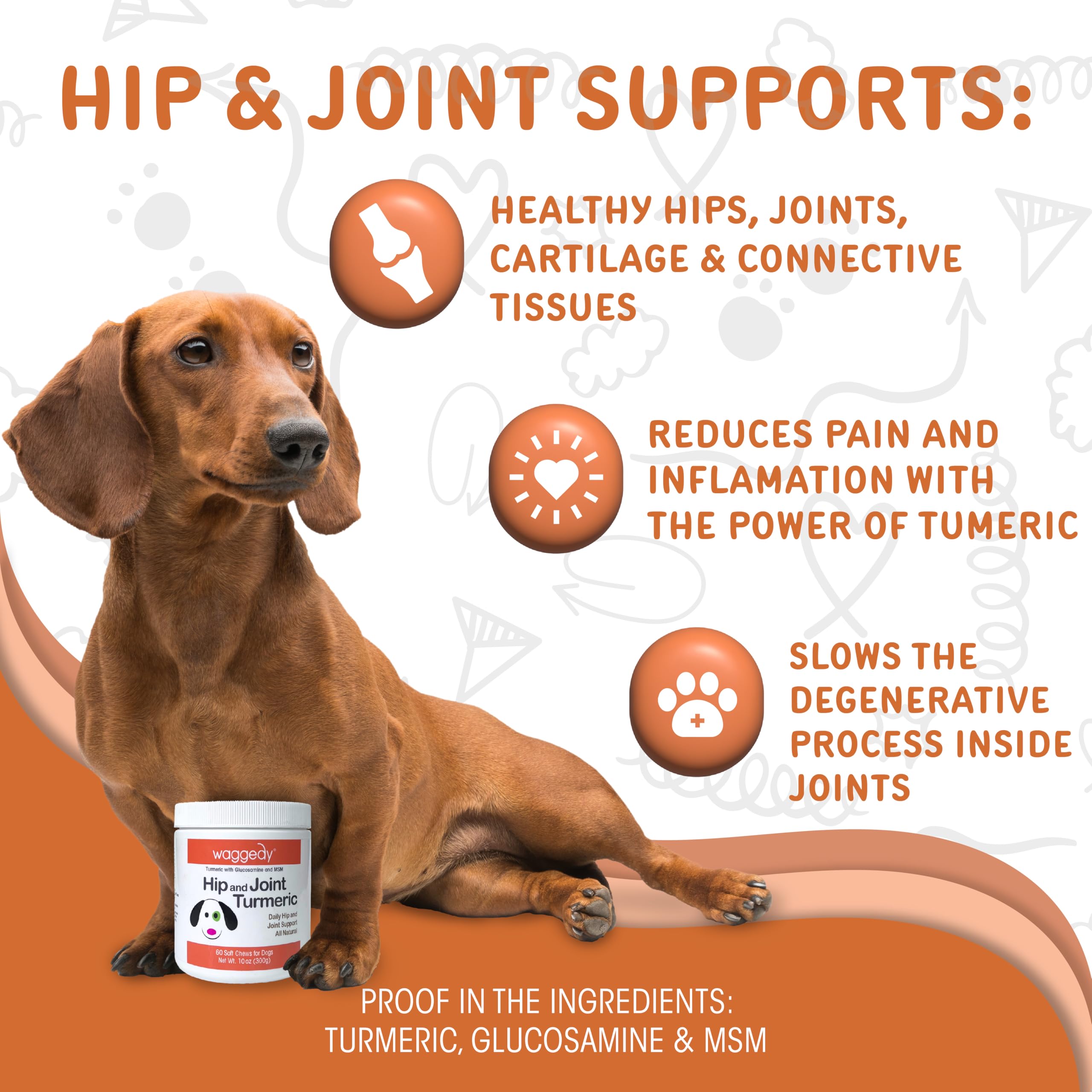 waggedy Hip and Joint Turmeric - Dog Supplements for Joints with Glucosamine & MSM β All-Natural Daily Glucosamine for Dogs to Improve Flexibility & Mobility (2 Packs of 60 Dog Chews Each)