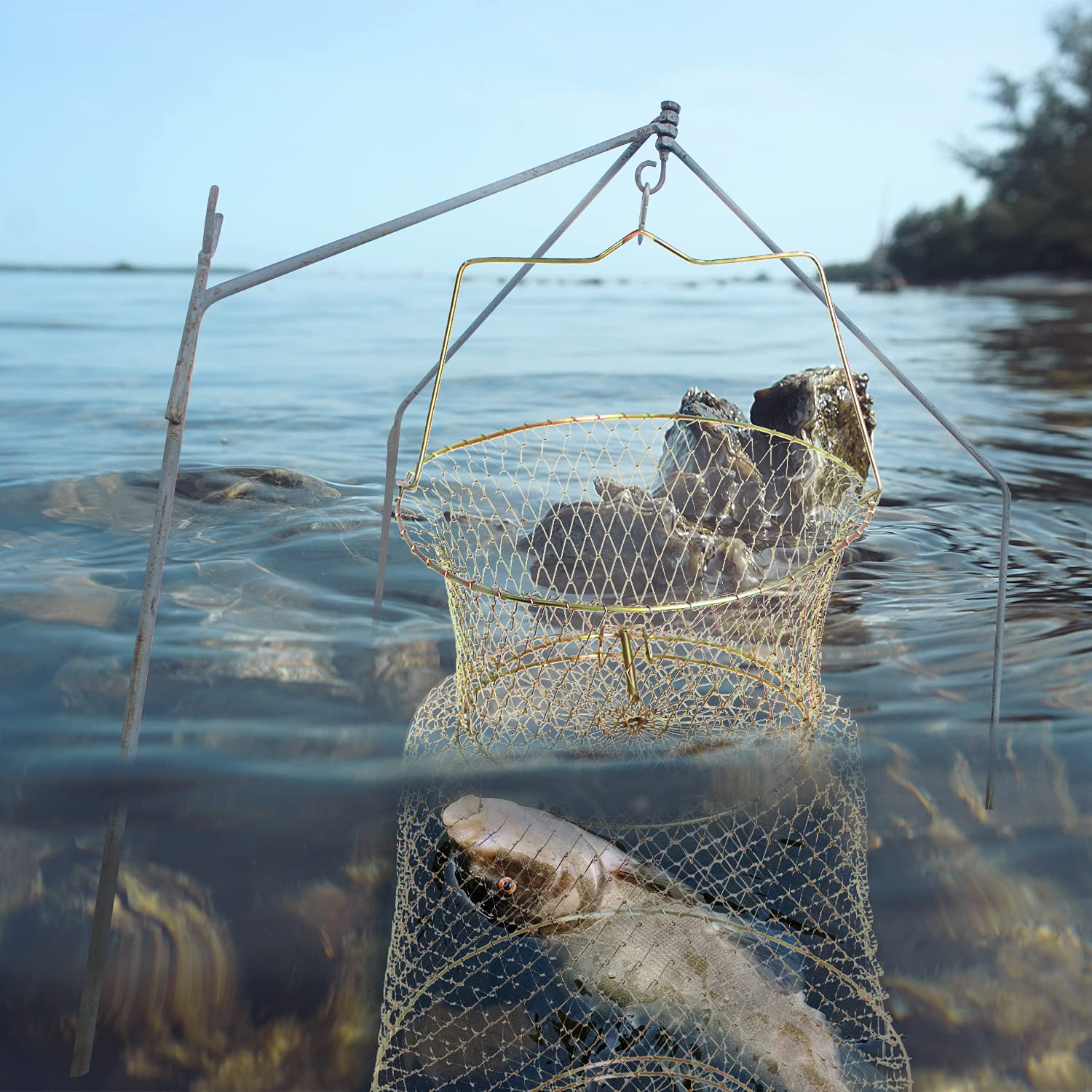 FishingPepo 15inch Galvanized Steel Wire Crab Basket, with Handle Foldable Fshing net cage is Strong and Easy to use for Outdoor Crab Angling Tackles Fish Protection (Approximately 38cm)