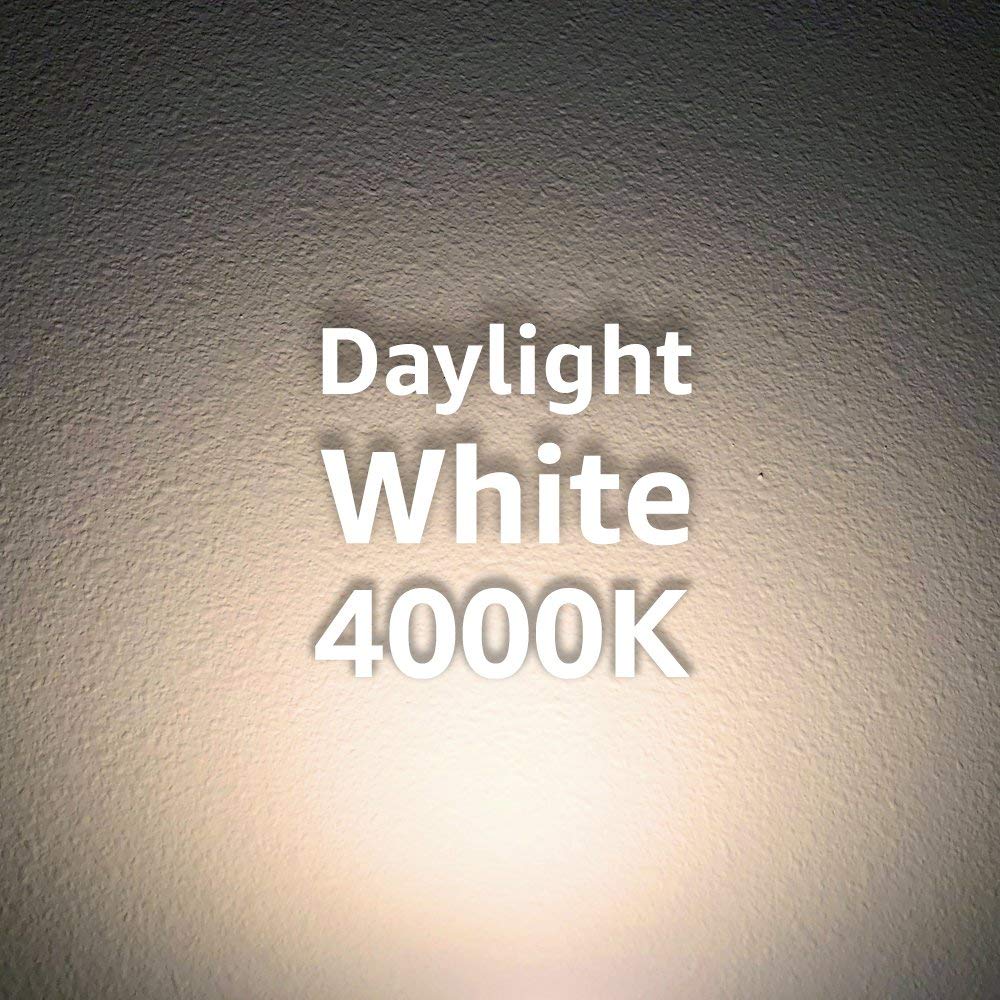 Euri Lighting EA19-11W2040eG-2 2-Pack LED A19 Bulb, 4000K (Bright White), Dim, 11W (75W) Equivalent 1100lm, 220° Beam Angle, GU24 Base, UL & Energy Star Listed, Enclosed & Damp Rated