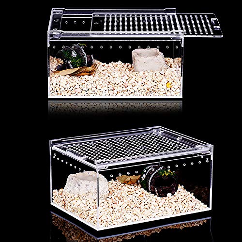 REMASIKO Magnetic Acrylic Case, 12" x 8" x 6" Enclosure Flat Long Reptile Breeding Box Terrarium Cage for Scorpion Sling Isopods Lizards Invertebrates Insects Mantis