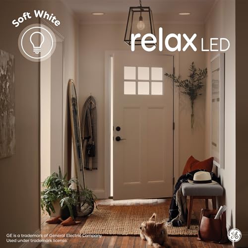 GE Relax LED Light Bulbs, 40 Watt, Soft White Candle Lights, Decorative Light Bulbs, Frosted, Small Base (36985), 4 Bulbs