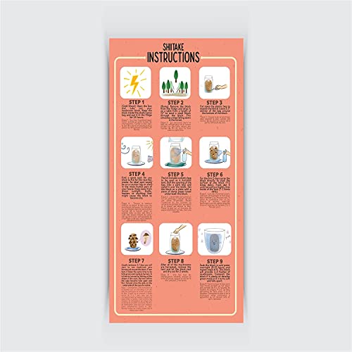 Grow Your Own Organic Mushroom Kit - Shiitake - Indoor Growing Kit by Happy Caps Mushroom Farm