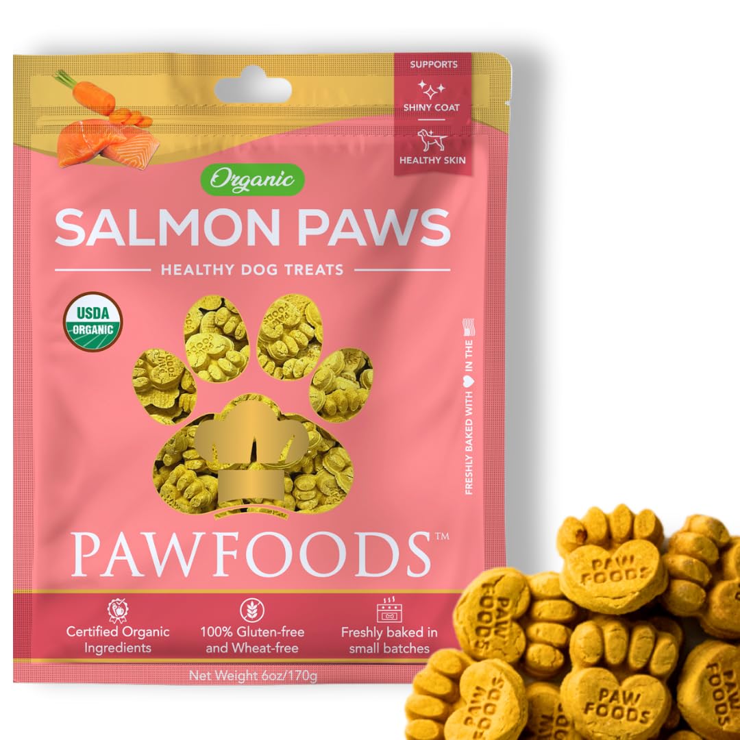 PawFoods Salmon Dog Treats - Organic Dog Treats with Salmon - Shiny Coat Healthy Skin, Omega 3 & 6, Low Calorie Dog Training Treats, Healthy Dog Treats - Approx. 60 Treats Per Bag - 170g - Made in USA