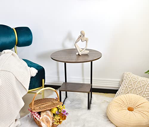 Nohle End Table for Living Room, Accent Table Round 2-Tier Tables with Storage,Small Nightstand,Black Metal Side Table H20in.