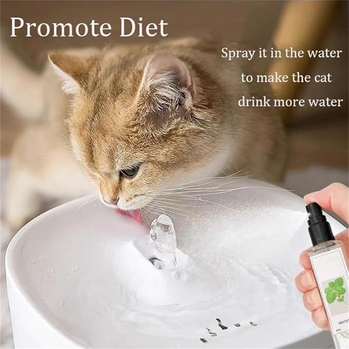 Joycat Spray, Herbal Cat Joy Spray, Catnip Spray for Indoor Cats,100ml Celery Pets Catnip Spray,Cat Training Spray with Catnip, Cat Anxiety Relief,Cat Calming Spray, Anti Scratch Cat Spray (1 Bottle)