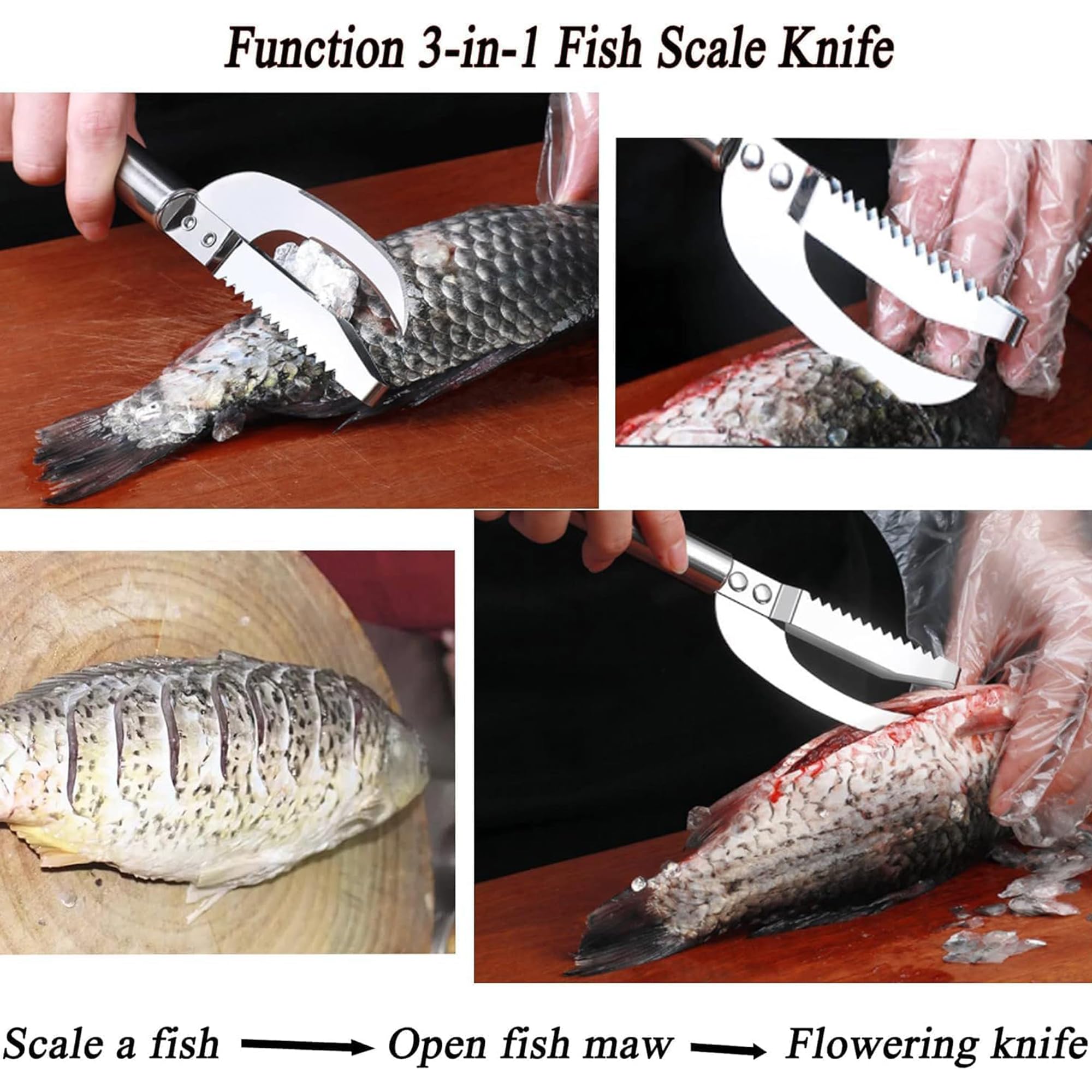 PCTC Stainless Steel Fish Maw Knife,3 In 1 Fish Maw Knife, Multifunction Fish Scale Knife fish scale remover Household Kitchen Fish Scale Tool